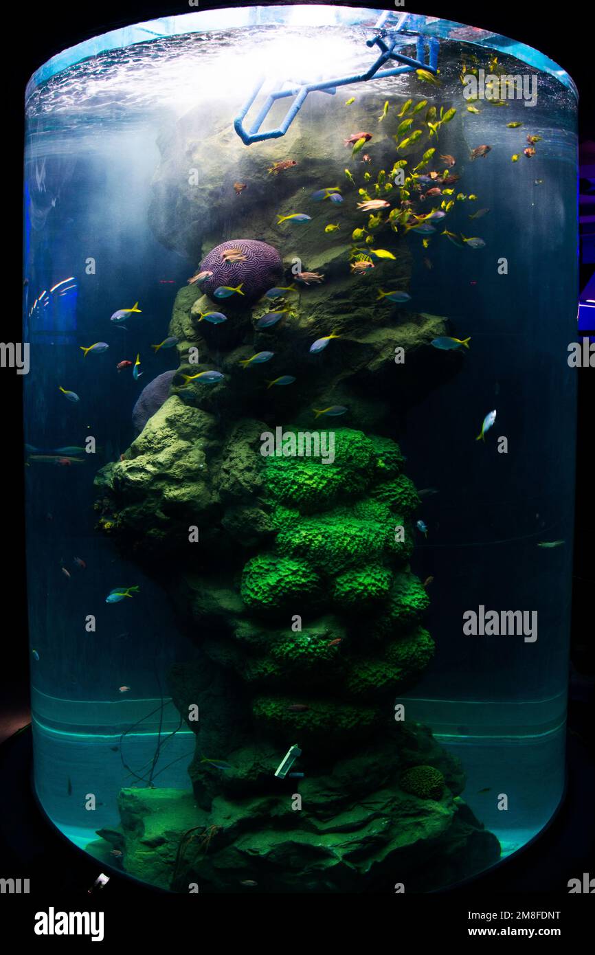 Large glass water tank for thai people and foreign travelers travel ...