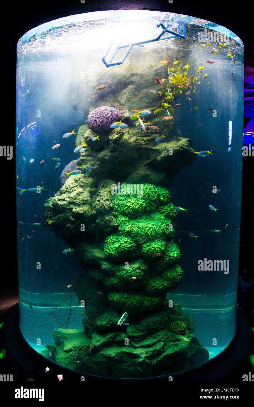 Large glass water tank for thai people and foreign travelers travel ...