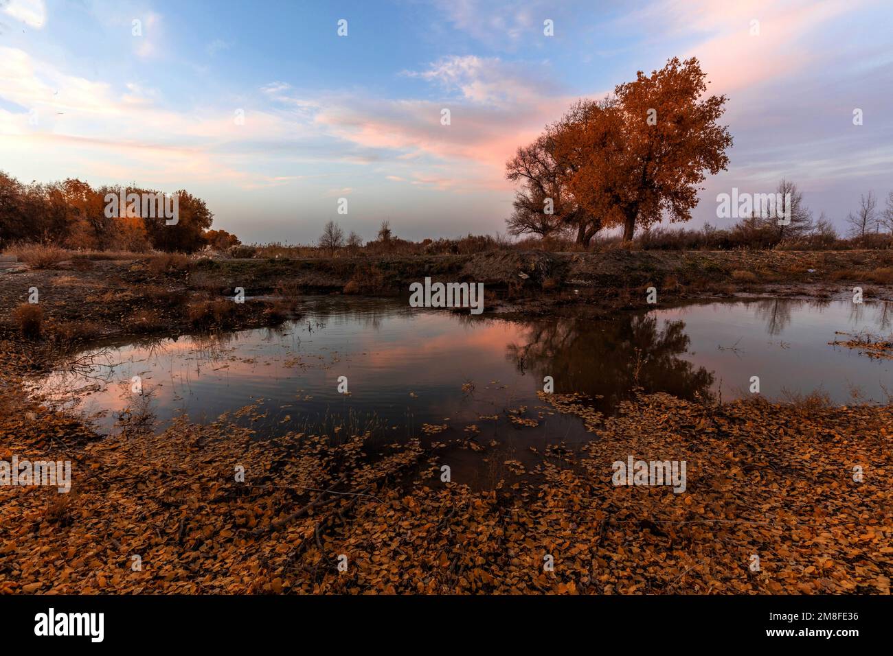 Inner Mongolia egina iminqak Stock Photo - Alamy