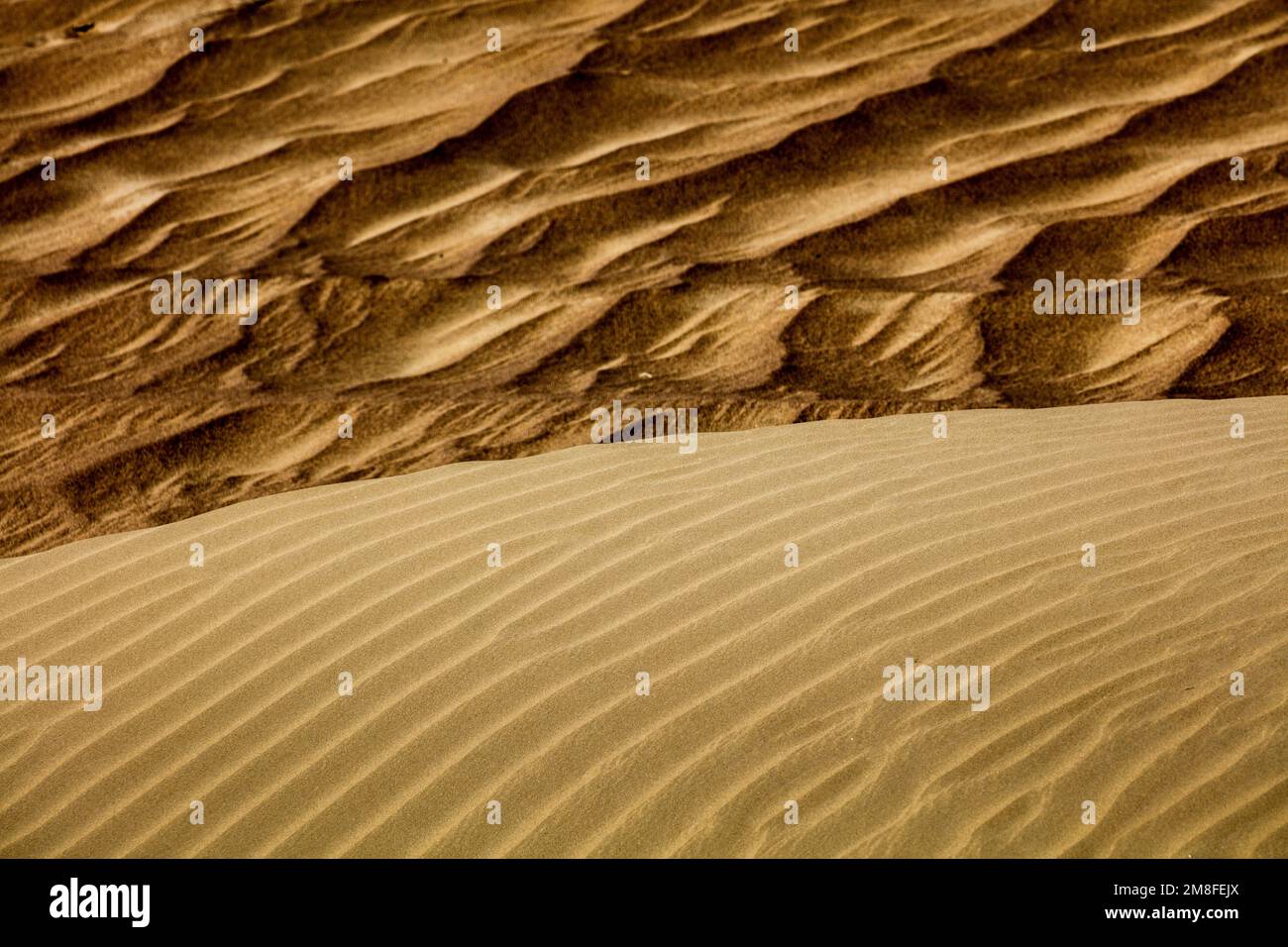 Tarim hi-res stock photography and images - Alamy