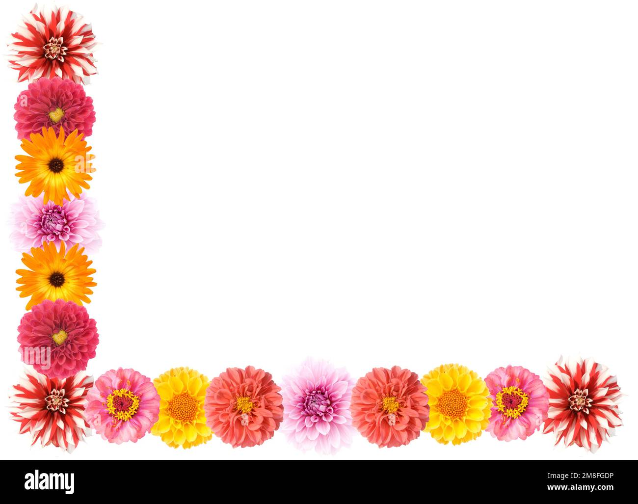 Different colors right-angled flower border isolated on white Stock ...