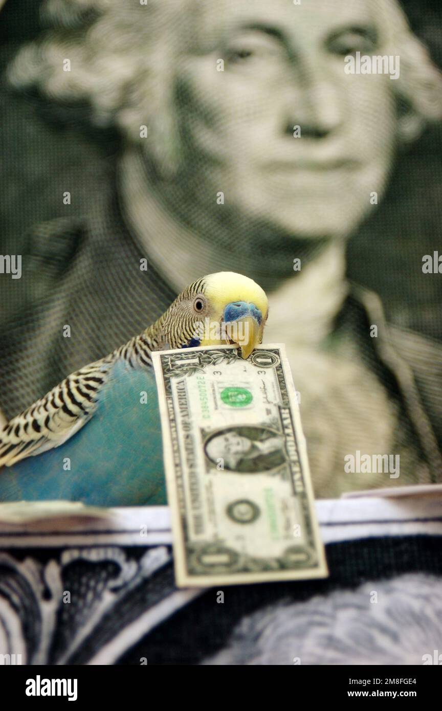 Banknote washington hi-res stock photography and images - Alamy