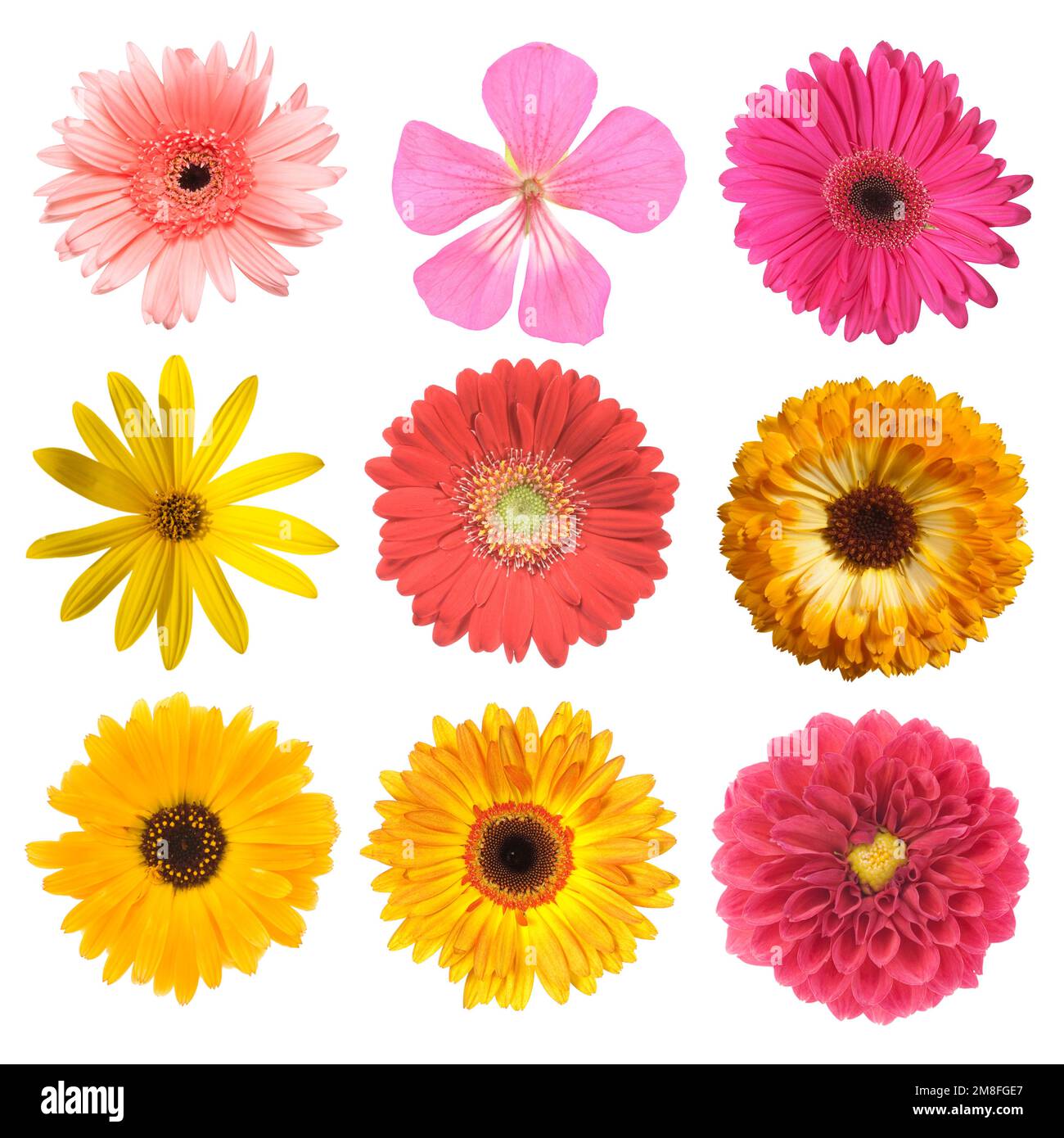 Garden adornment Cut Out Stock Images & Pictures - Alamy