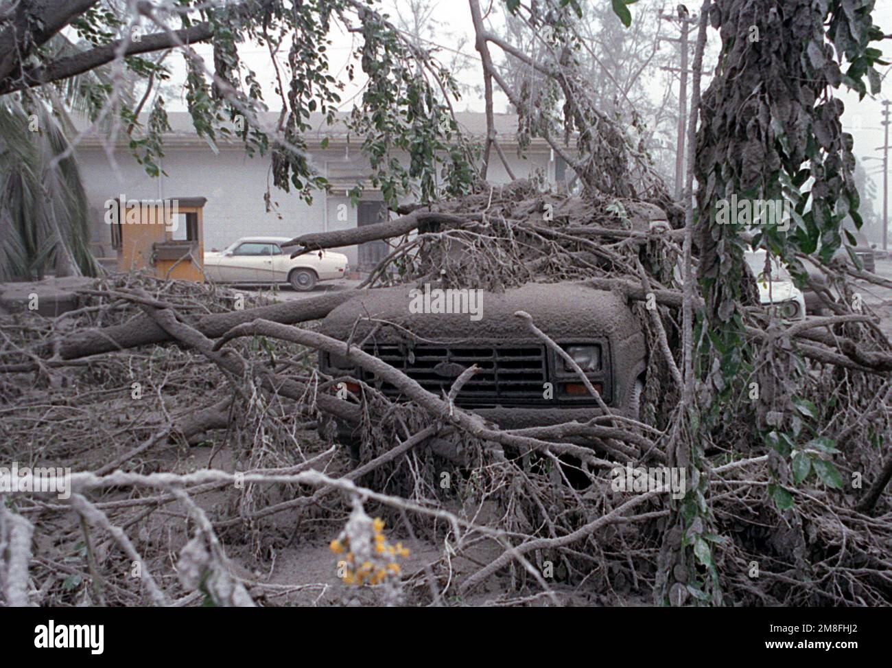 Ash blankets the area in the aftermath of Mount Pinatubo's eruption ...