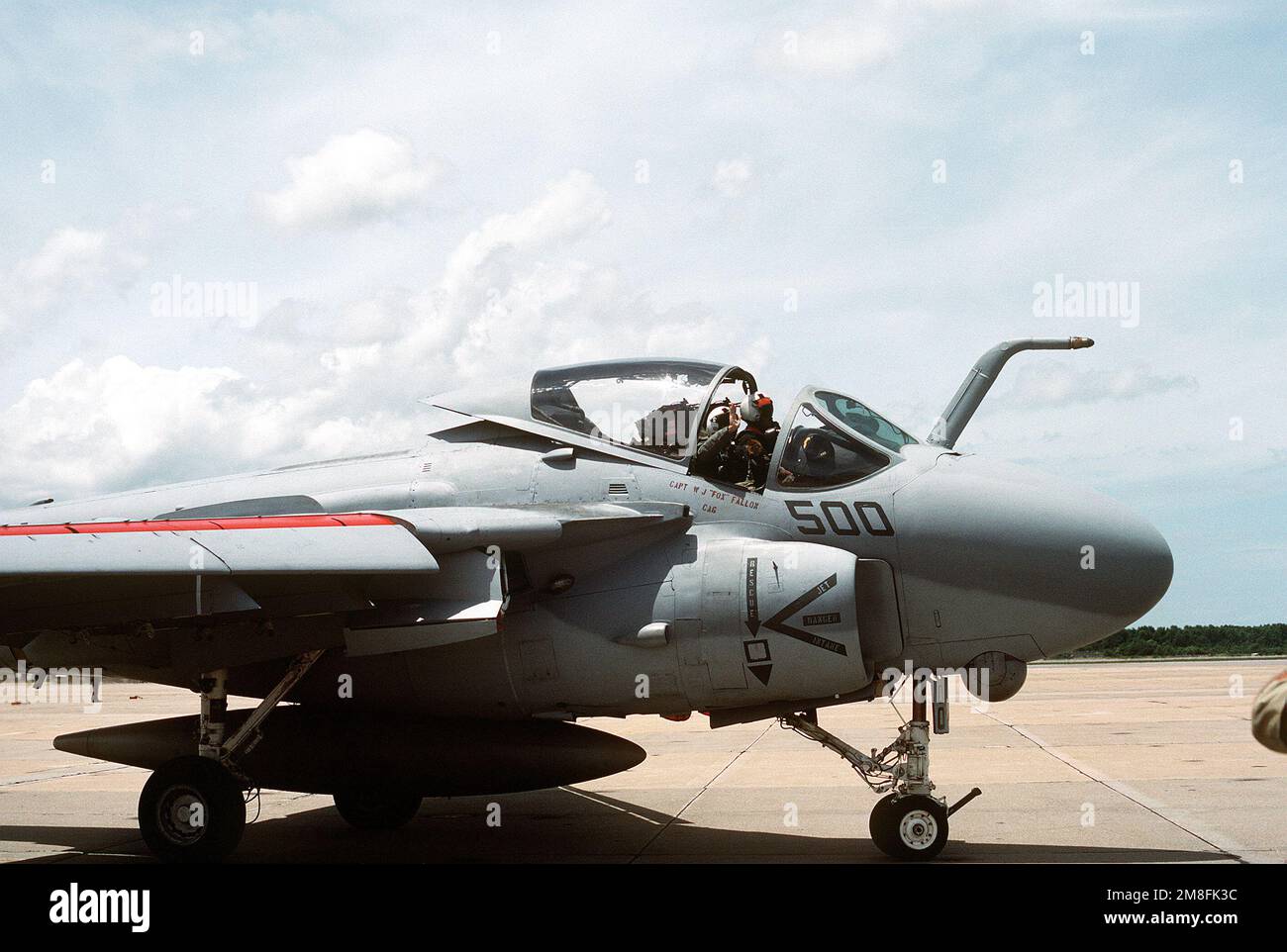 Gulf region desert fox hi-res stock photography and images - Alamy