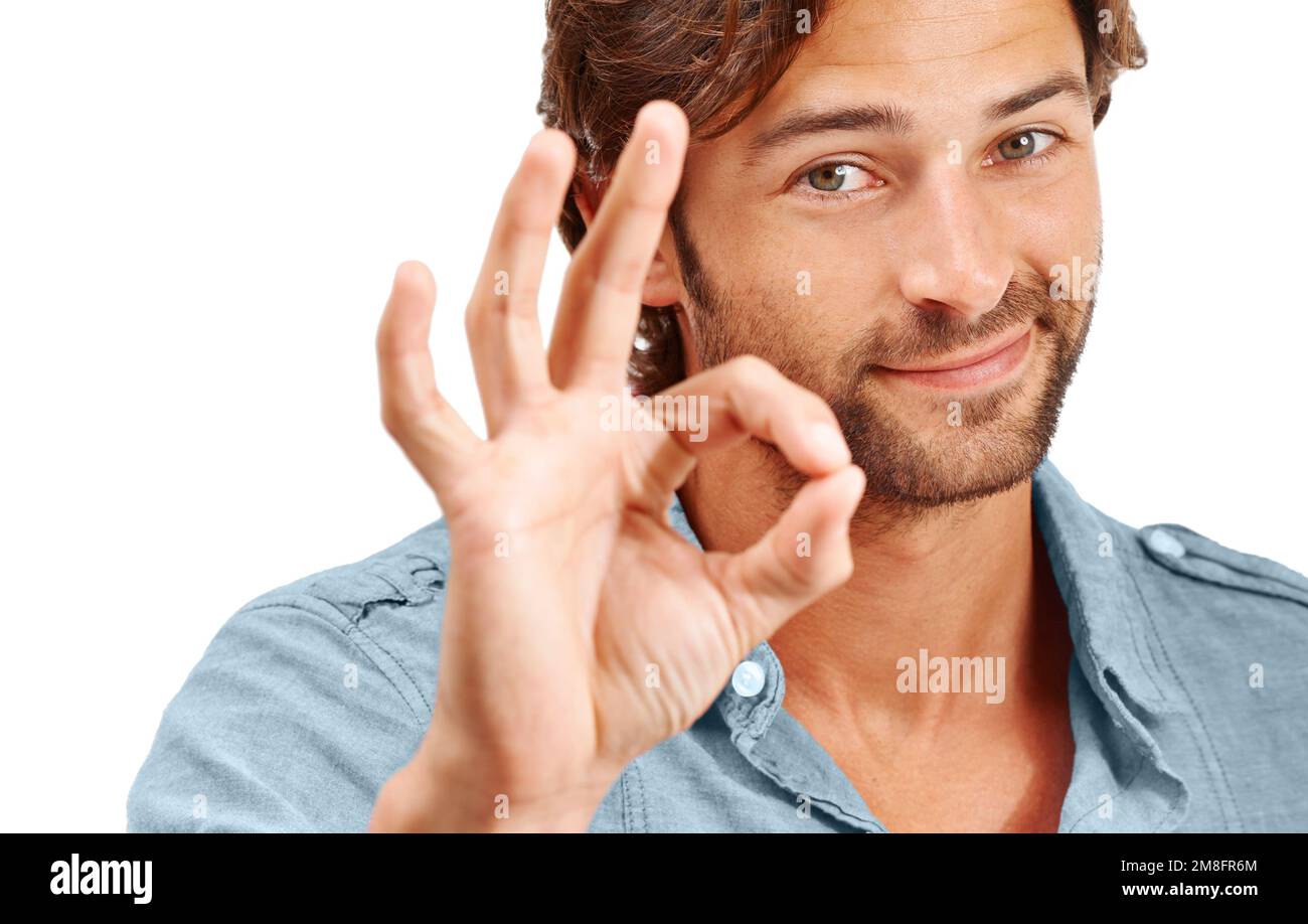 Man, face and OK with hand in portrait, agreement or good review ...