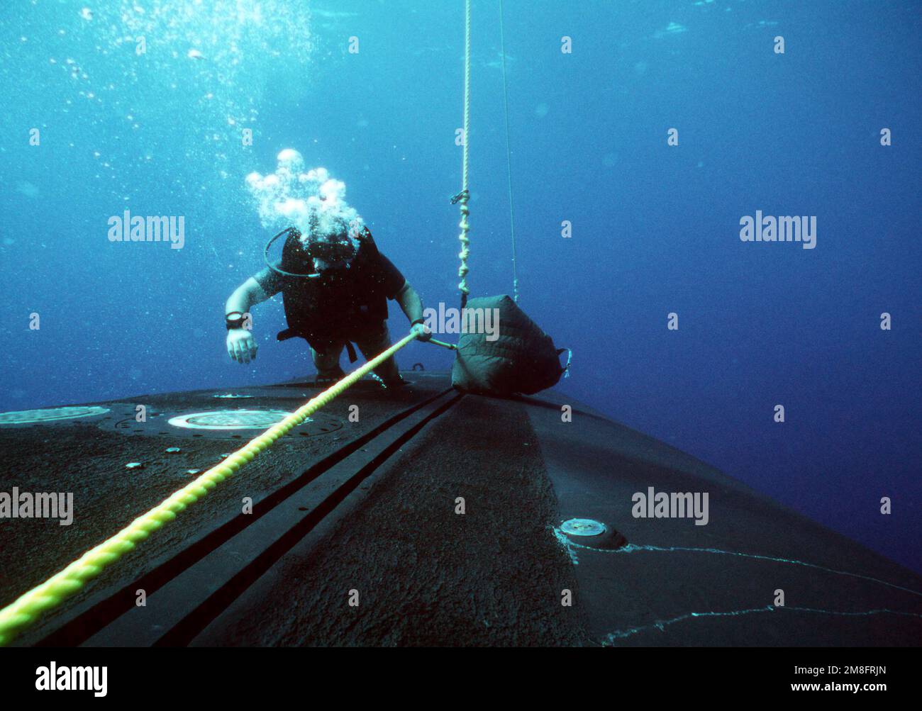 A member of a Navy sea-air-land (SEAL) team swims along a line rigged ...