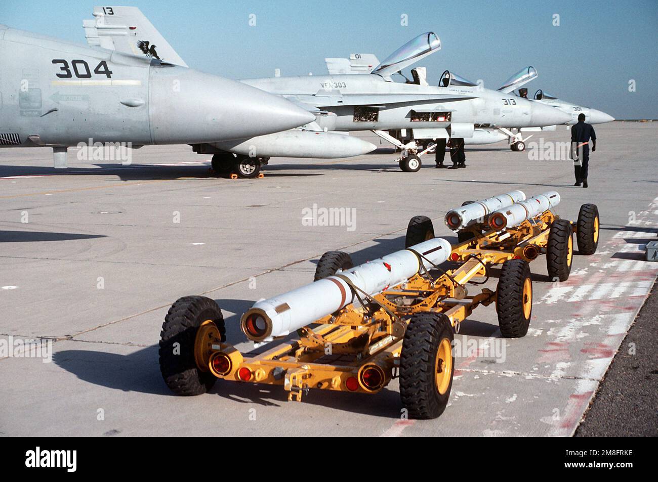 AIM-7 Sparrow missiles sit on a pair of weapons skids on the flight ...