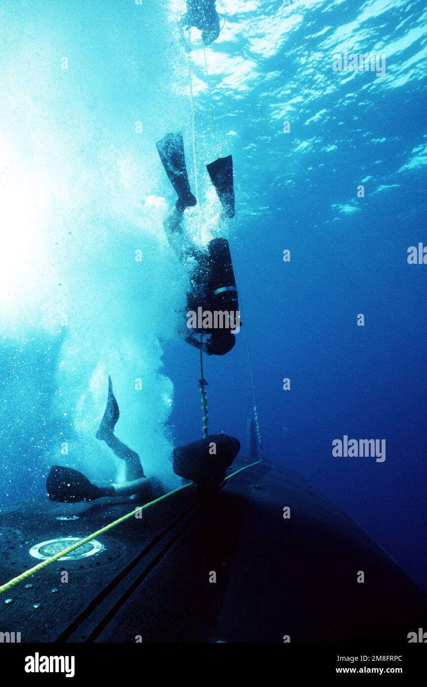 Two members of a Navy sea-air-land (SEAL) team descend along a line as ...