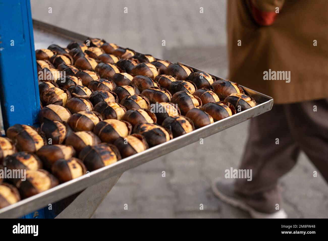 Culture of chestnuts hi-res stock photography and images - Alamy