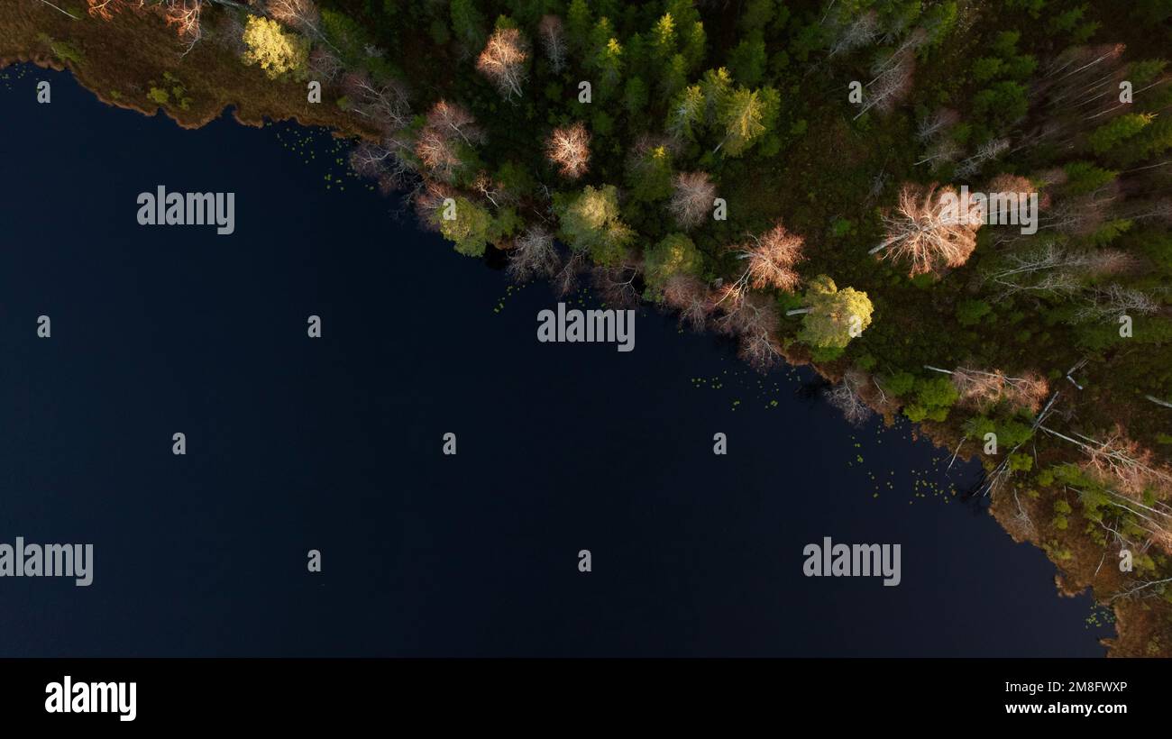 A top down view of a lake with dark blue water in the middle of a dense ...