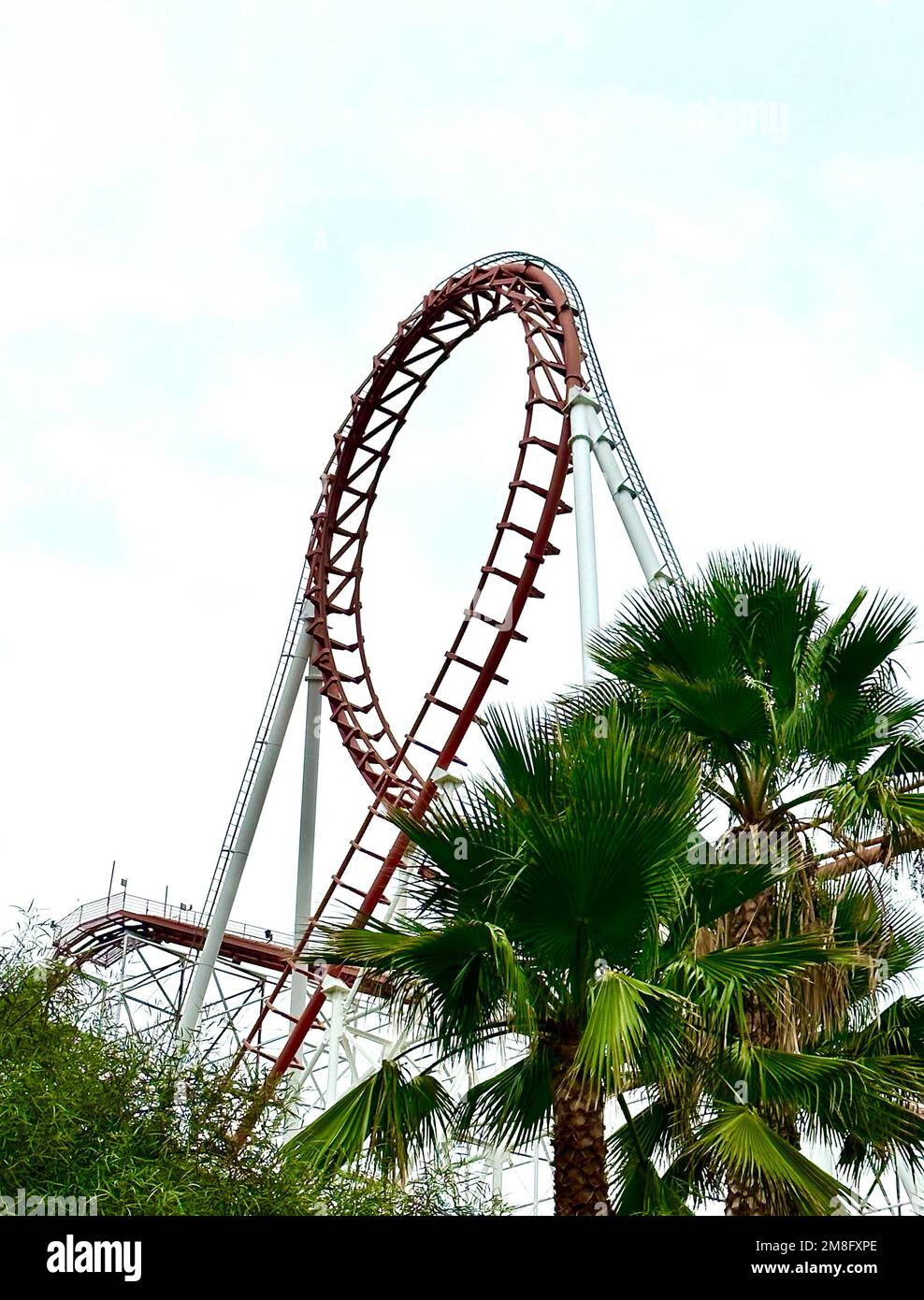 Viper Roller Coaster