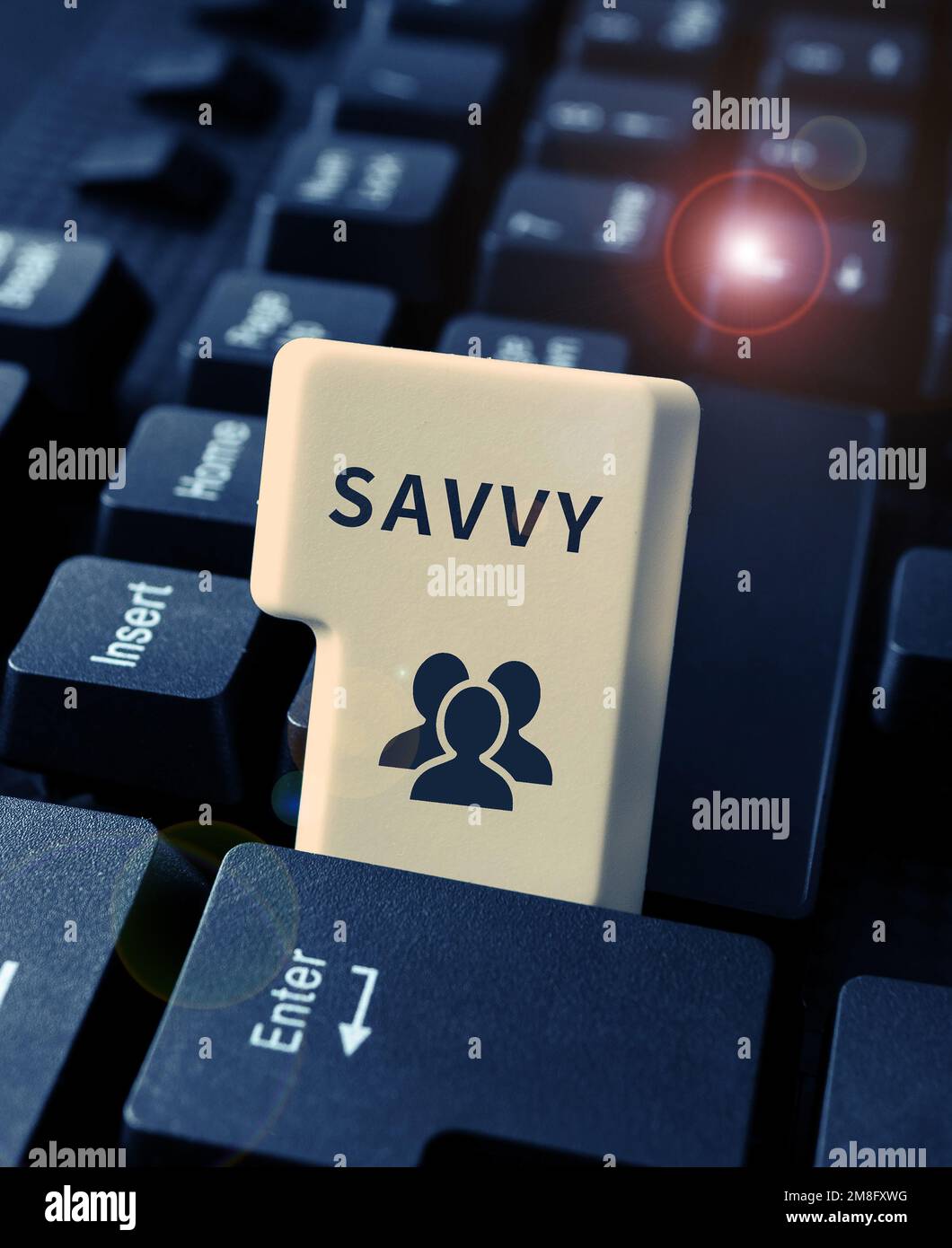 Text caption presenting Savvy. Word Written on having perception ...