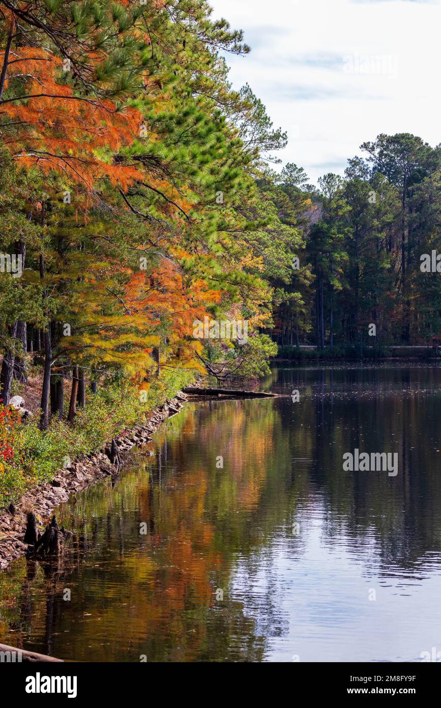A vertical of a lake surrounded by autumn trees at Cheraw State Park in ...