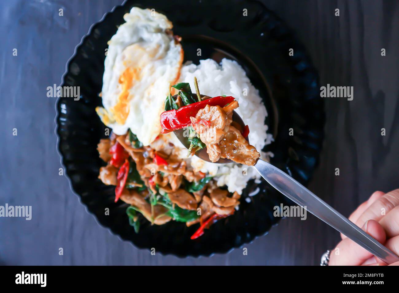 stir fried pork with chili, holy basil and rice with sunny side up egg ...