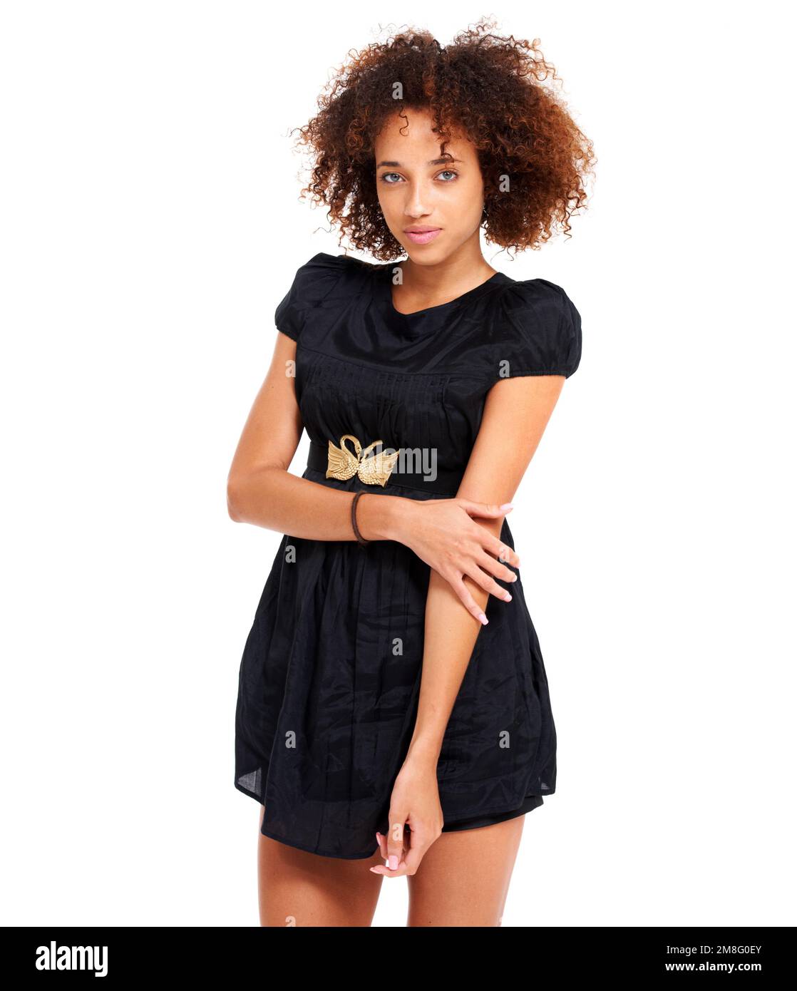 Black woman, fashion model and portrait of a person with natural hair ...