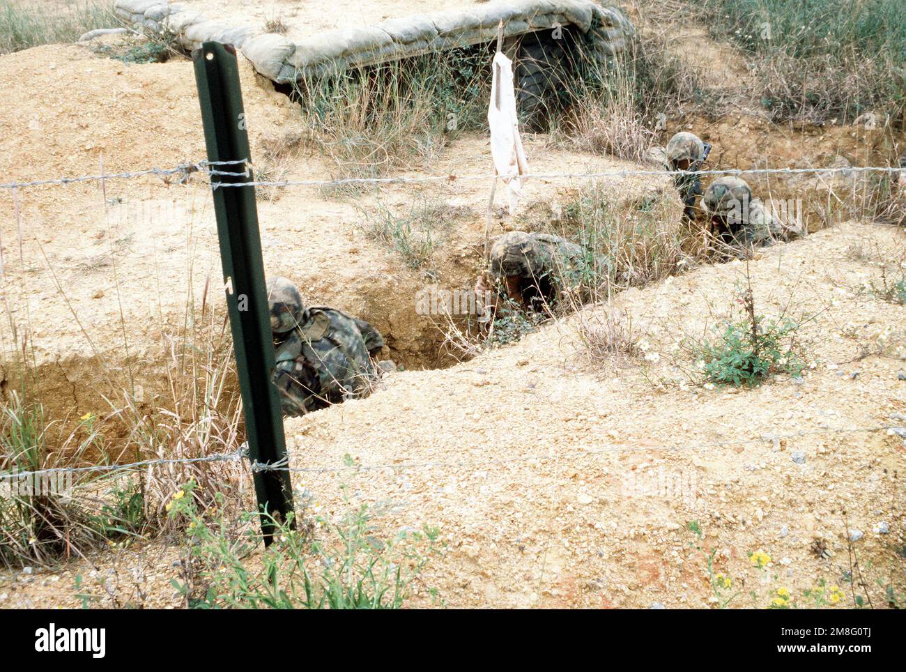 Members of the 3rd Combat Engineer Battalion (CEB), 3rd Marine Division ...