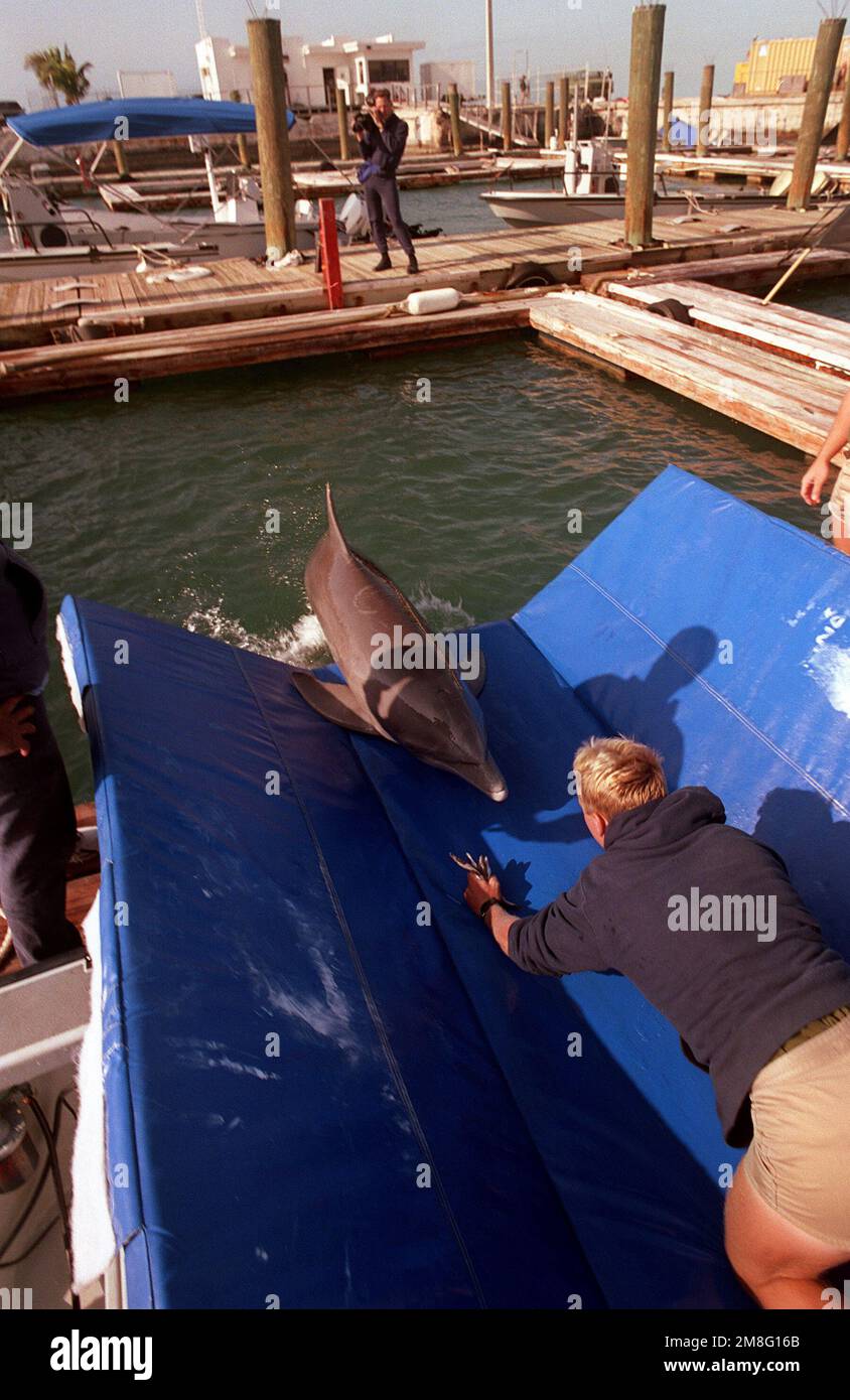 A member of Explosive Ordnance Disposal (EOD) Mobile Unit Four trains a ...
