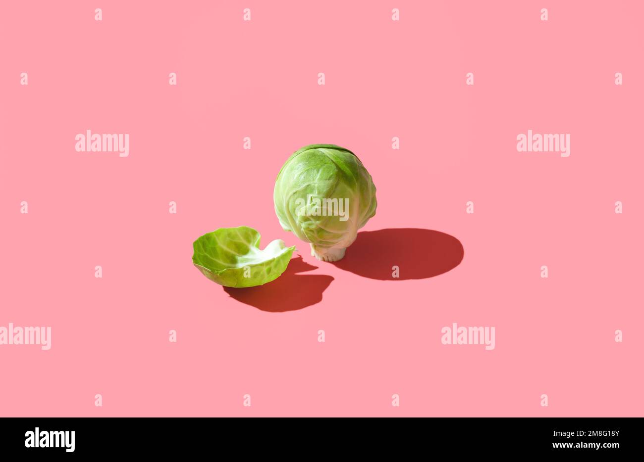 Single brussels sprout in bright light on a pink table. Minimalist shot ...