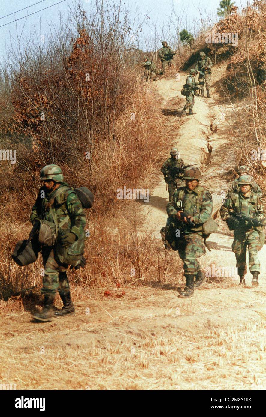 US and Korean soldiers on patrol during a Live Fire training exercise ...