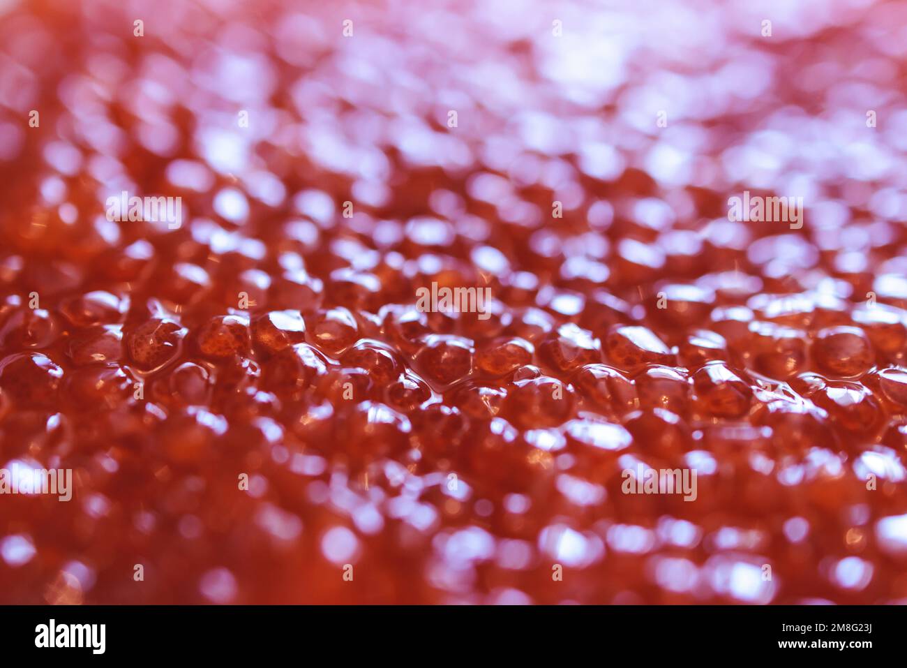 Red caviar close up macro texture, salted red caviar on a seafood ...