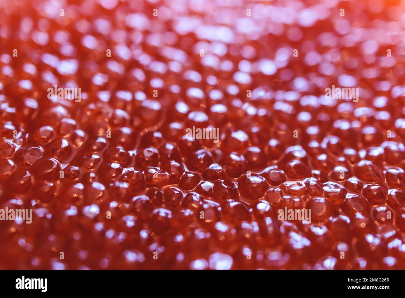 Red caviar close up macro texture, salted red caviar on a seafood ...