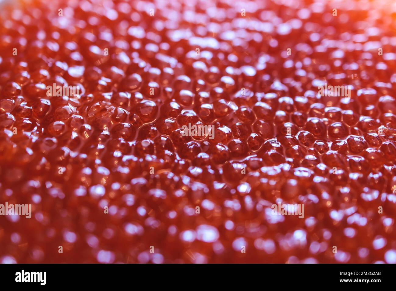 Red caviar close up macro texture, salted red caviar on a seafood ...