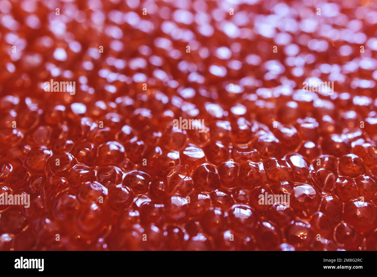 Red caviar close up macro texture, salted red caviar on a seafood ...