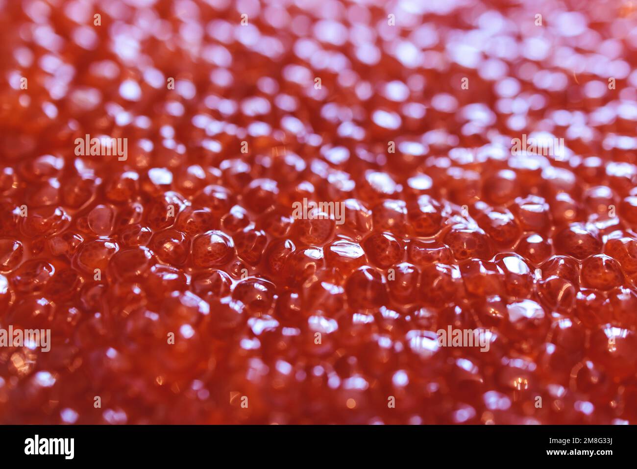 Red caviar close up macro texture, salted red caviar on a seafood ...