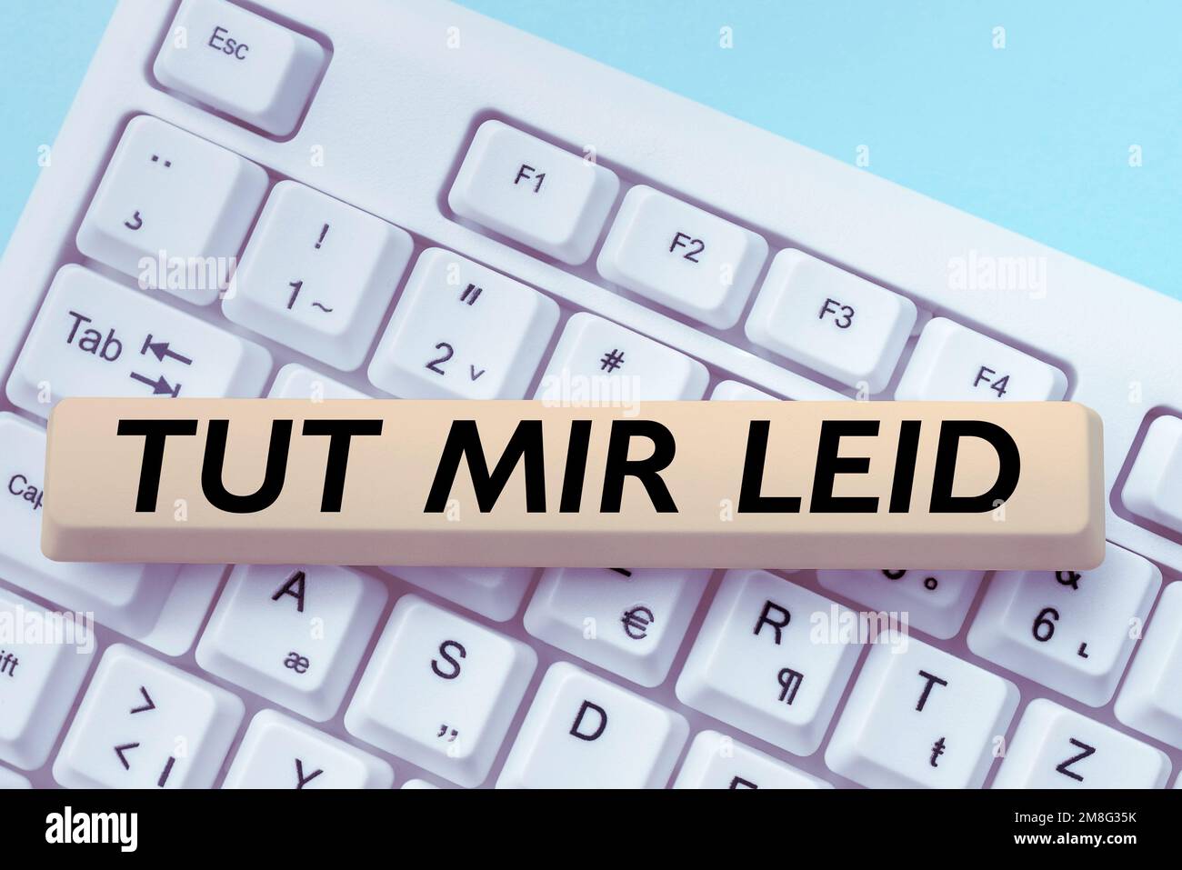 Sign displaying Tut Mir Leid. Business overview asking forgiveness for ...