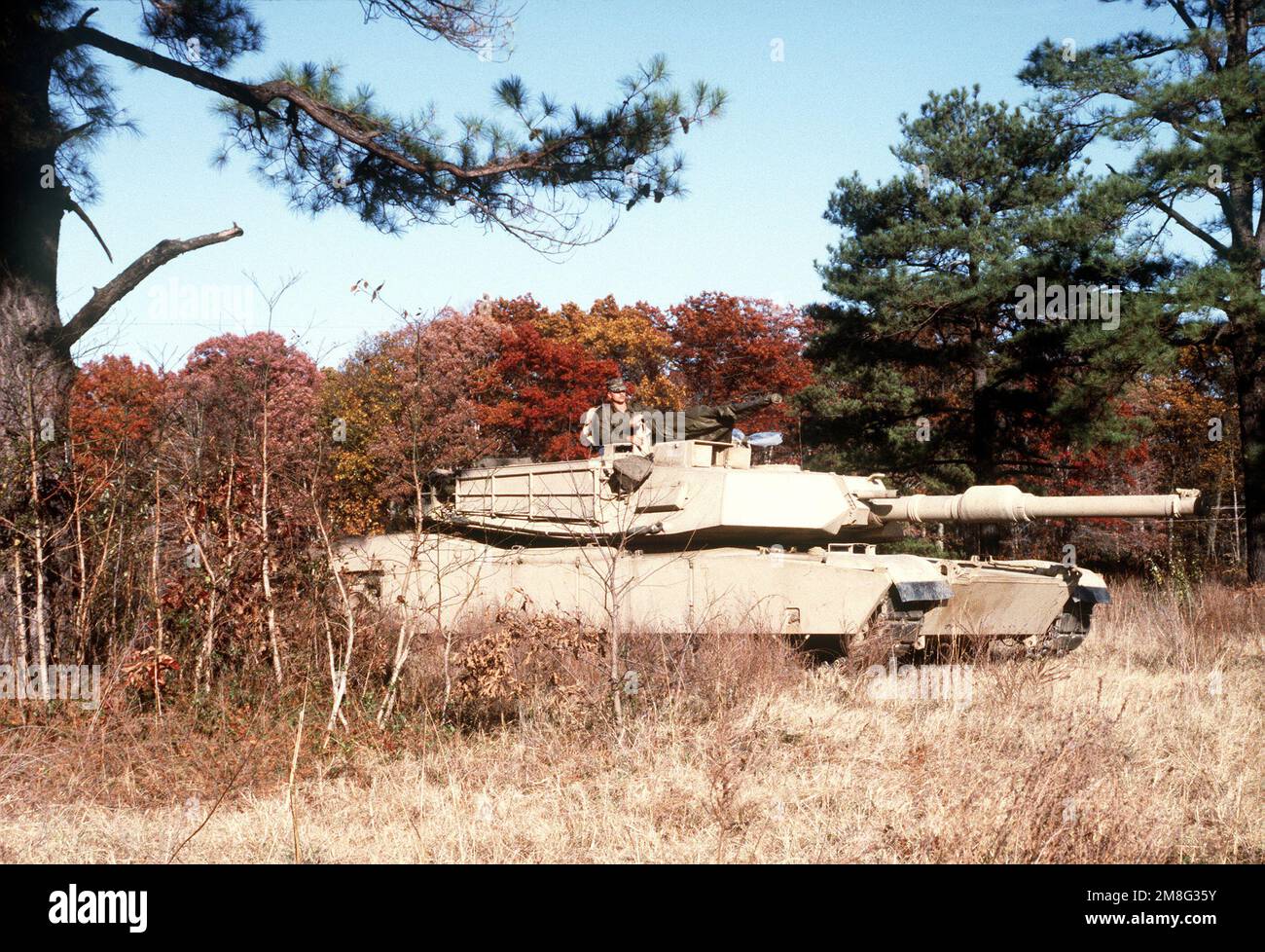 A member of A Company, 2nd Tank Battalion, 2nd Marine Division, stands ...