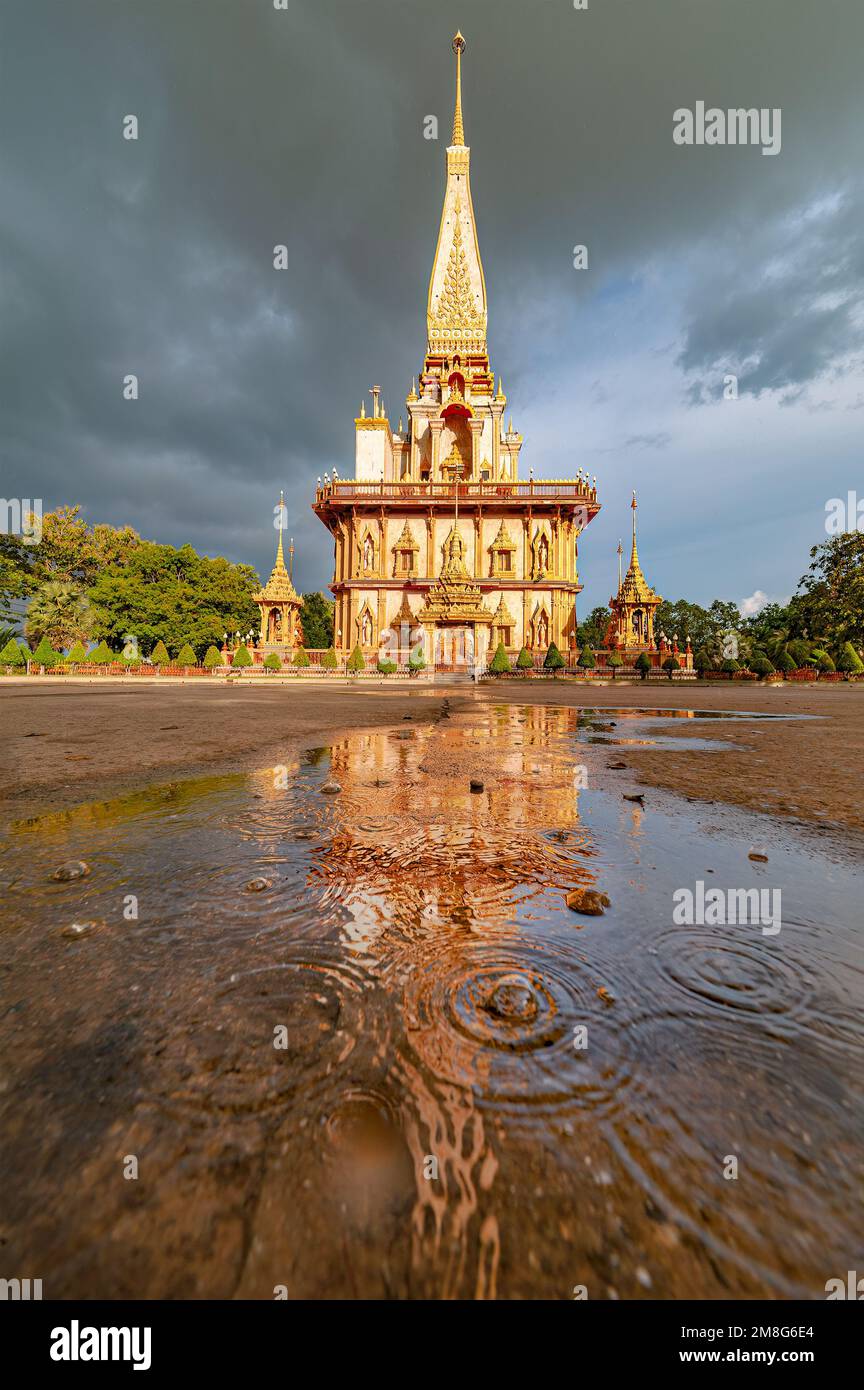 Beautiful golden rain drops and water ripples with reflection of ...