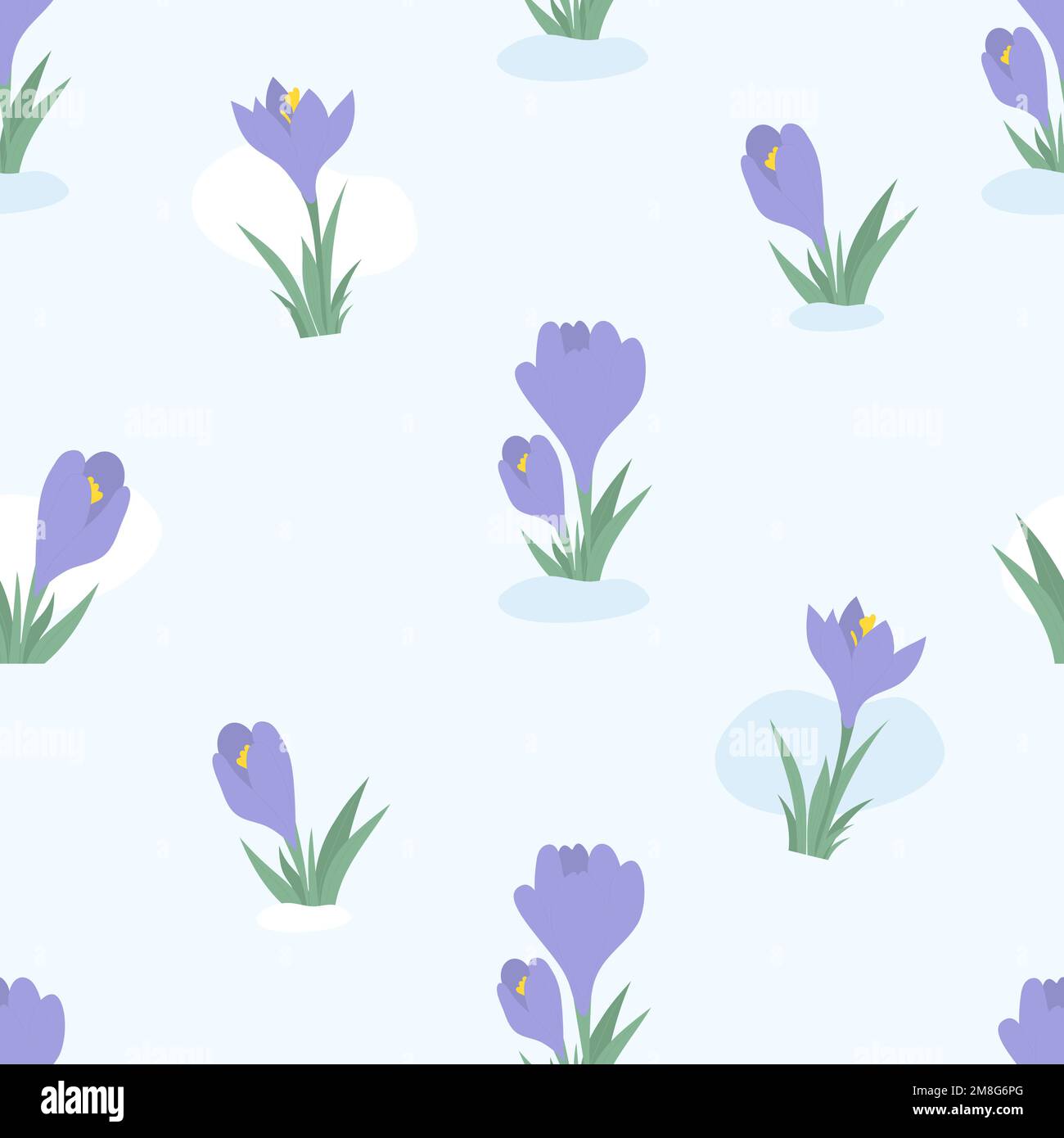 Floral seamless pattern. blooming spring flowers purple crocuses ...