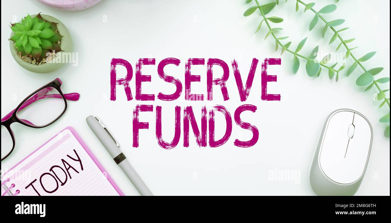 Writing displaying text Reserve Funds. Business overview money released ...