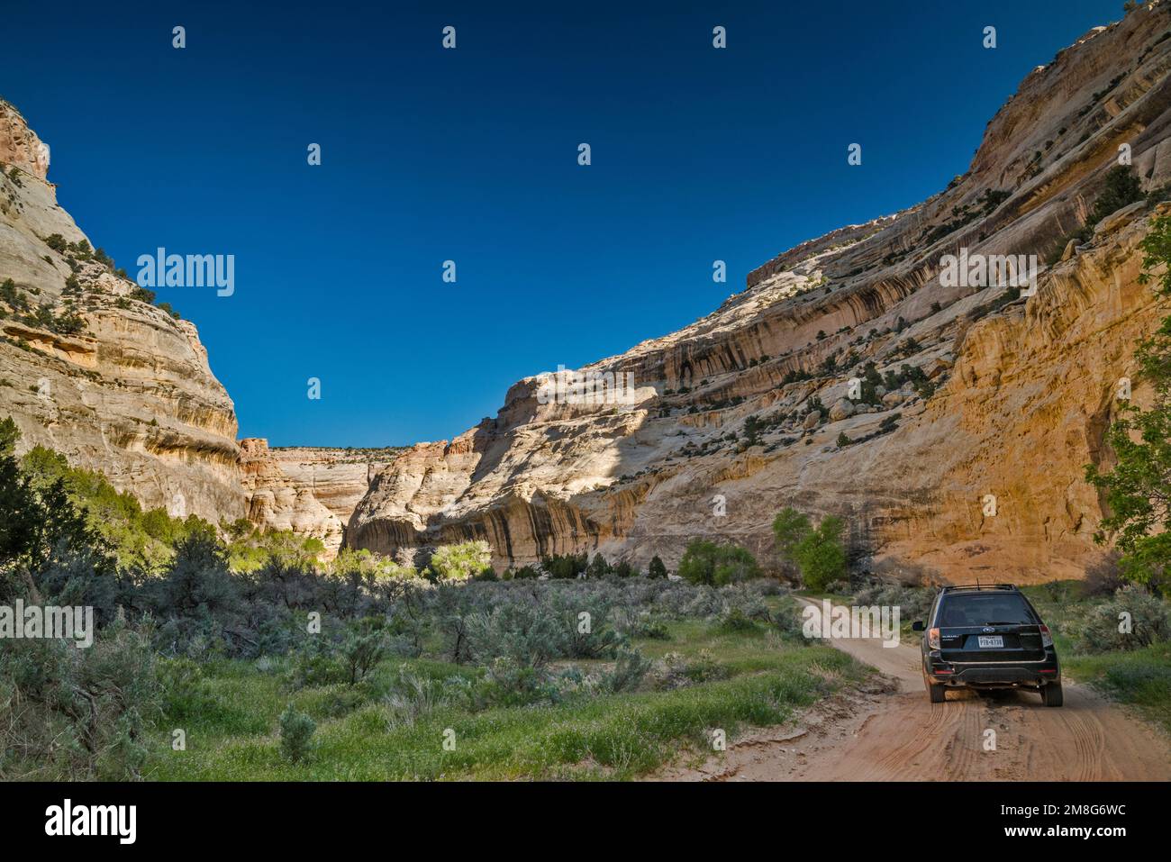 Hells Canyon, off Yampa Bench Road, near Yampa Canyon, Dinosaur ...
