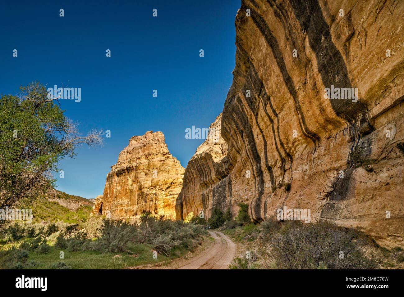 Mineral streaks on walls of Hells Canyon, Castle Rock in distance, off ...