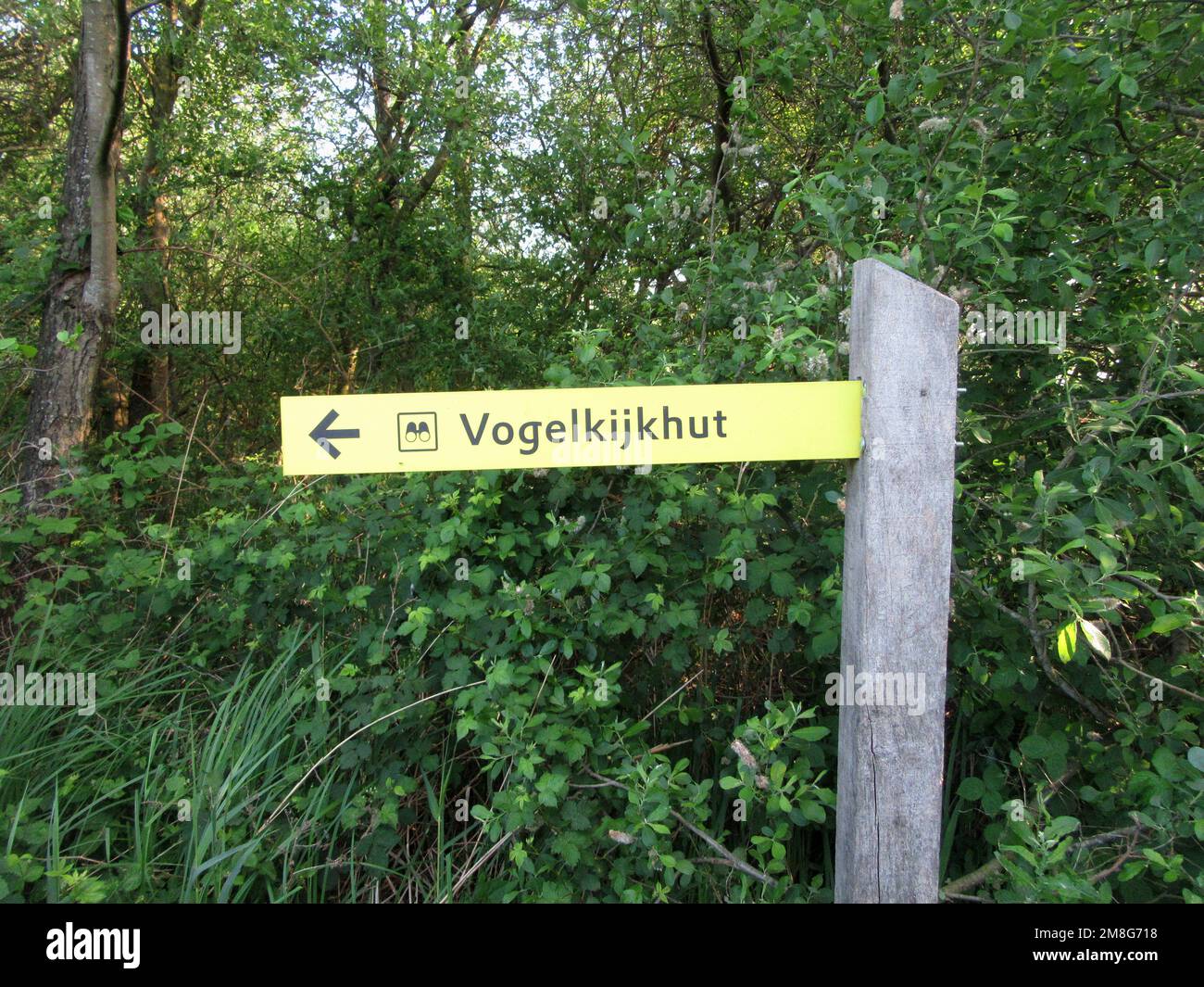 De Wieden in Weerribben-Wieden National Park, the Netherlands. The ...