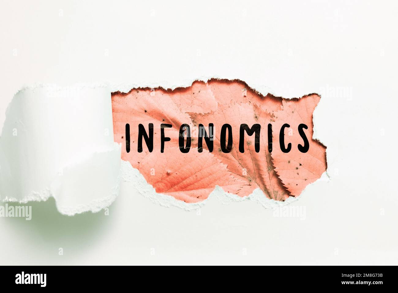 Inspiration showing sign Infonomics. Business concept visual image used ...
