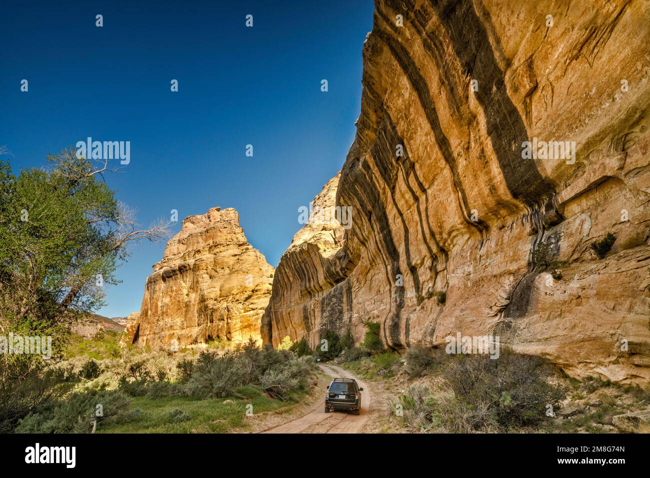 Mineral streaks on walls of Hells Canyon, Castle Rock in distance, off ...