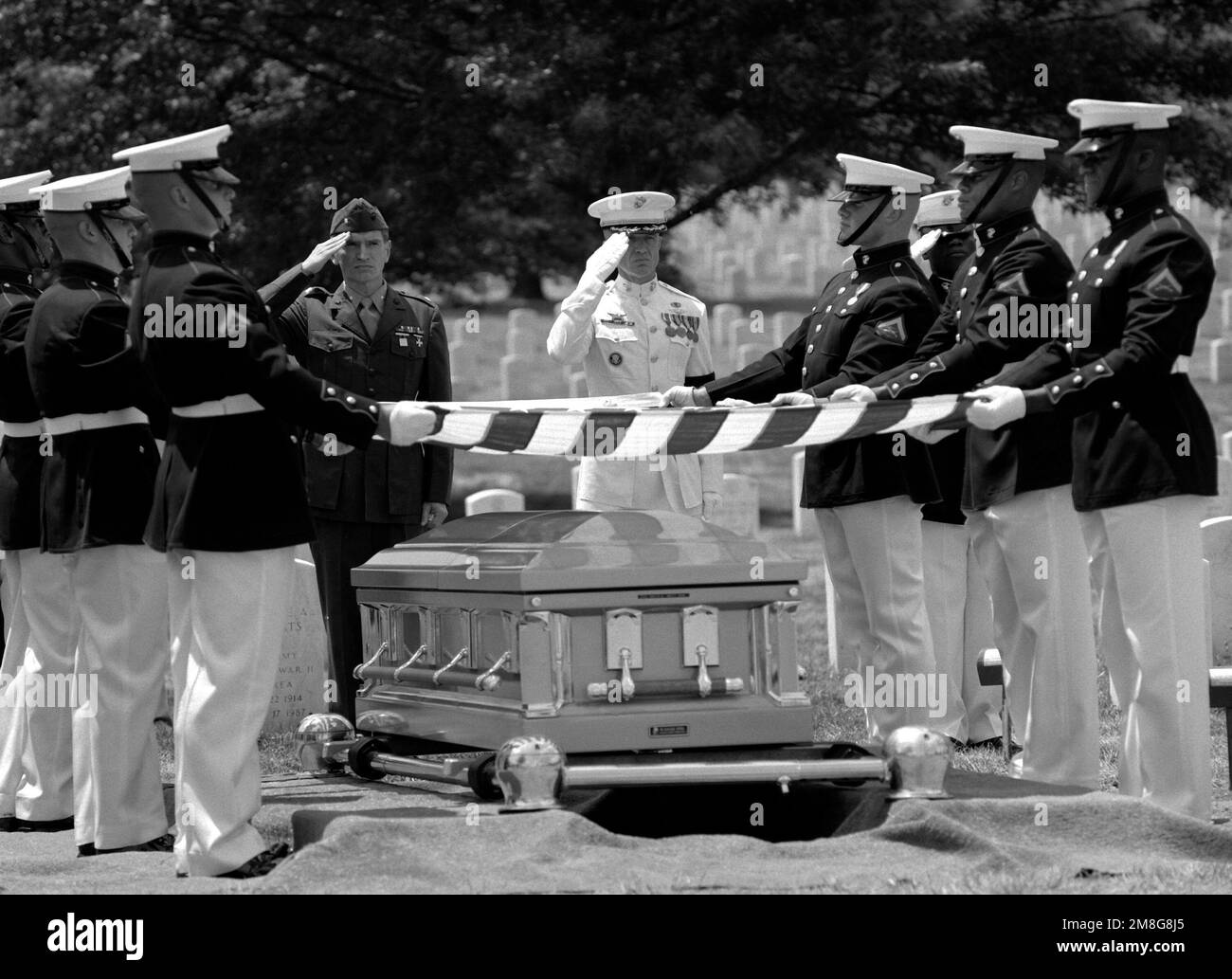 Full honors funeral Black and White Stock Photos & Images - Alamy
