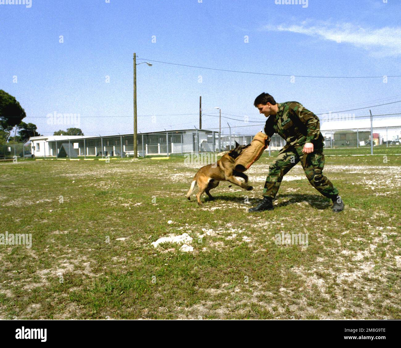 MASTER-at-Arms 3rd Class See trains guard dog Rocky to attack using a ...