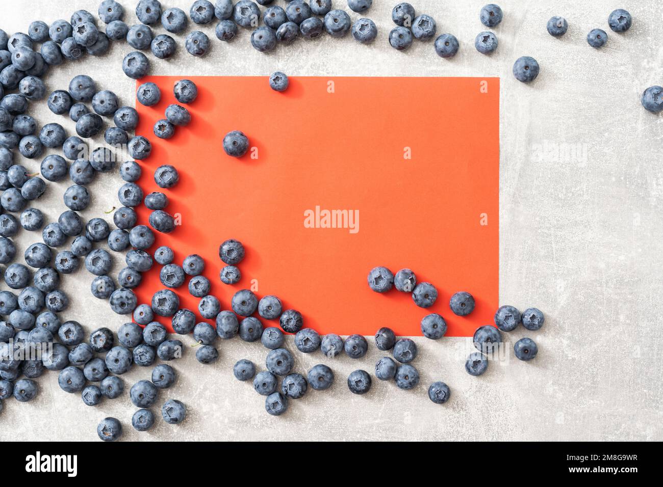 large blueberry on a red background Stock Photo - Alamy