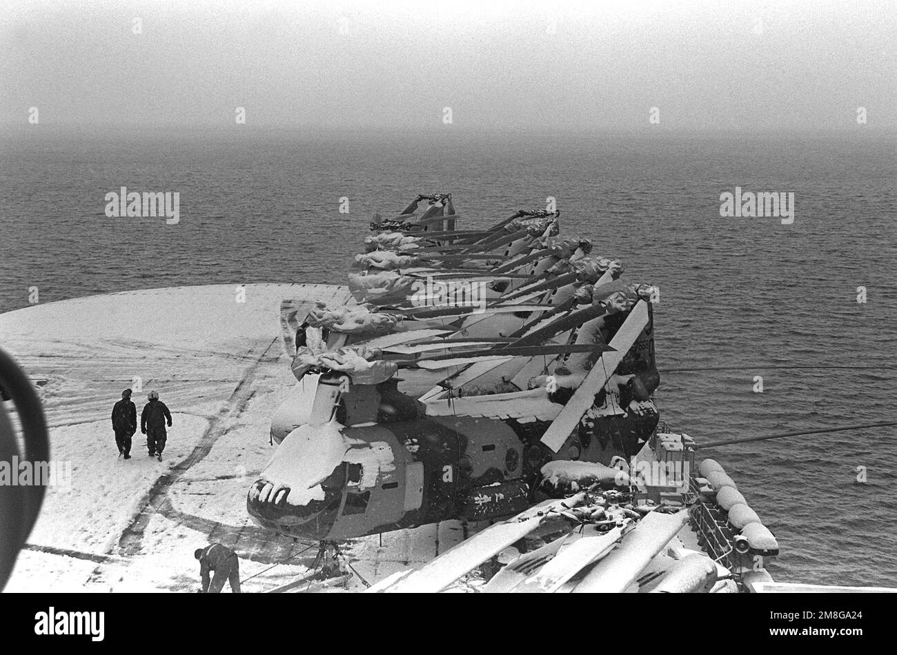 A view looking forward at CH-46E Sea Knight helicopters of Marine ...