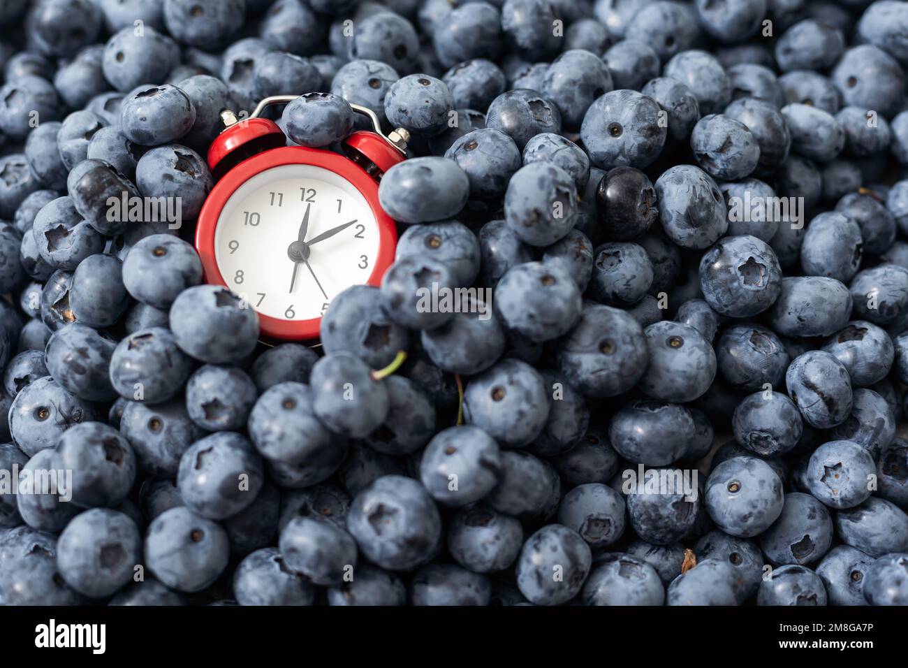 vintage alarm clock on blueberry background Stock Photo - Alamy