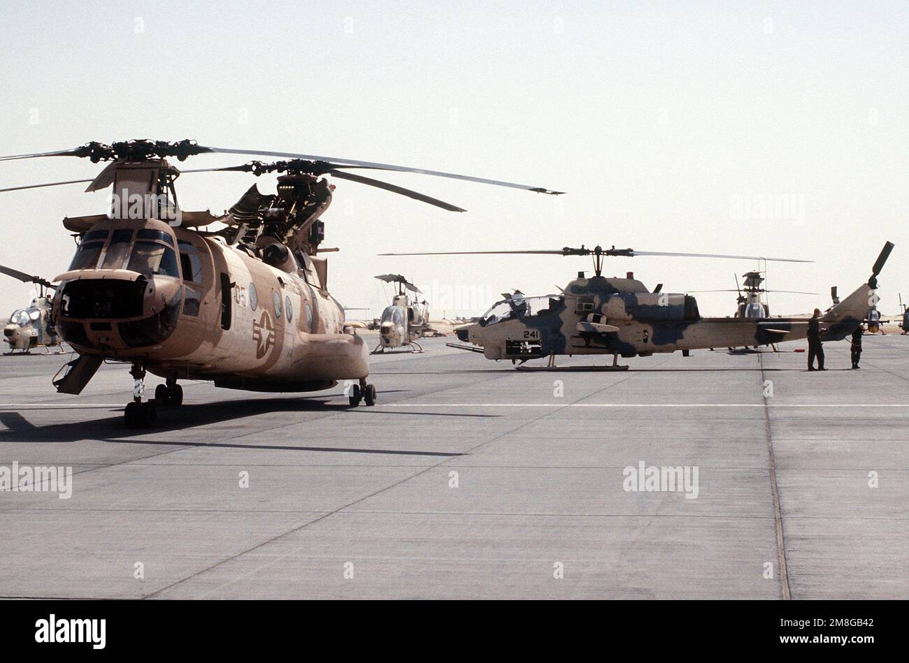 A CH-46 Sea Knight helicopter and AH-1W Sea Cobra gunships stand on an ...