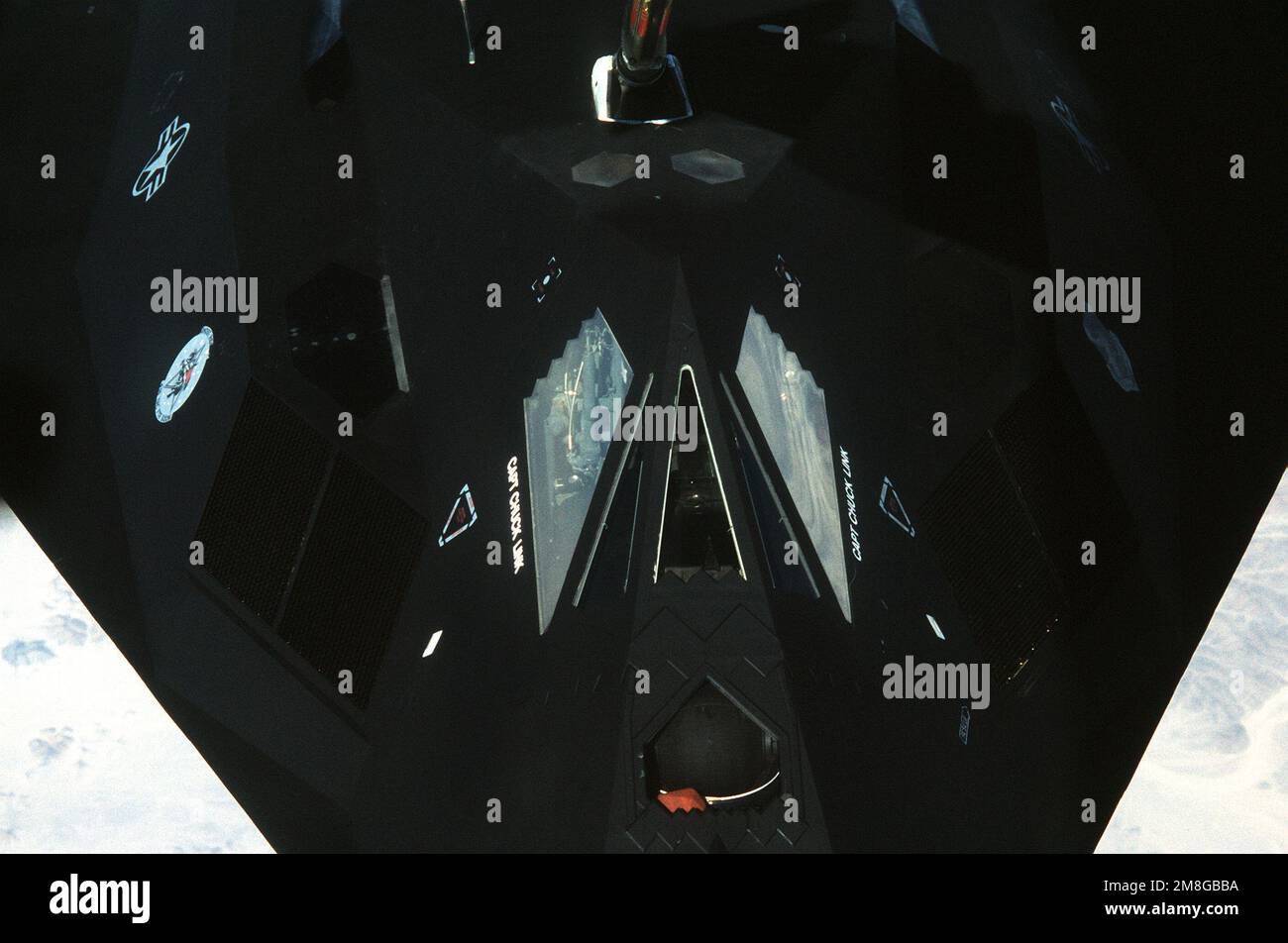 A close-up view of a 37th Tactical Fighter Wing F-117A Stealth fighter ...