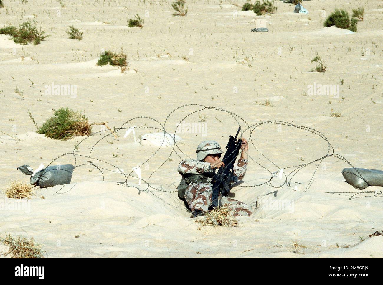 A soldier from C Company, 505th Parachute Infantry Regiment ...