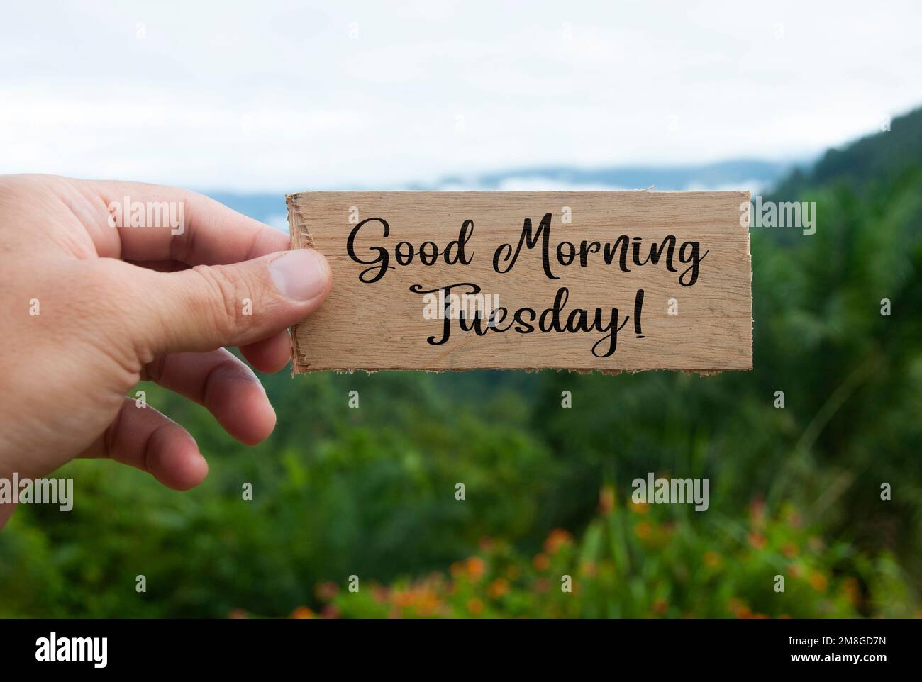 Hand holding wooden banner with Good Morning Tuesday text. With ...