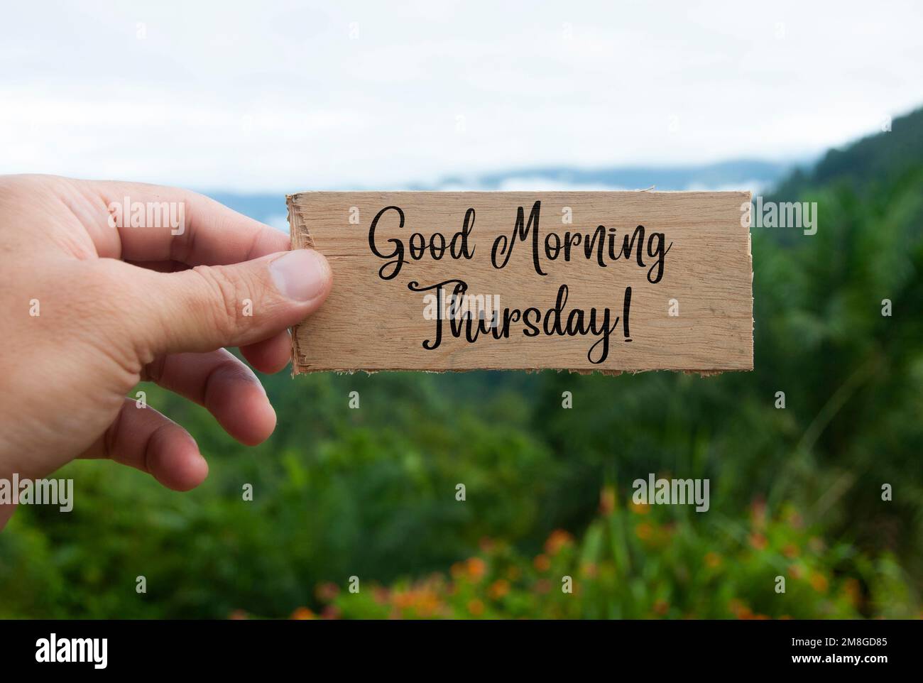 Hand holding wooden banner with Good Morning Thursday text. With ...