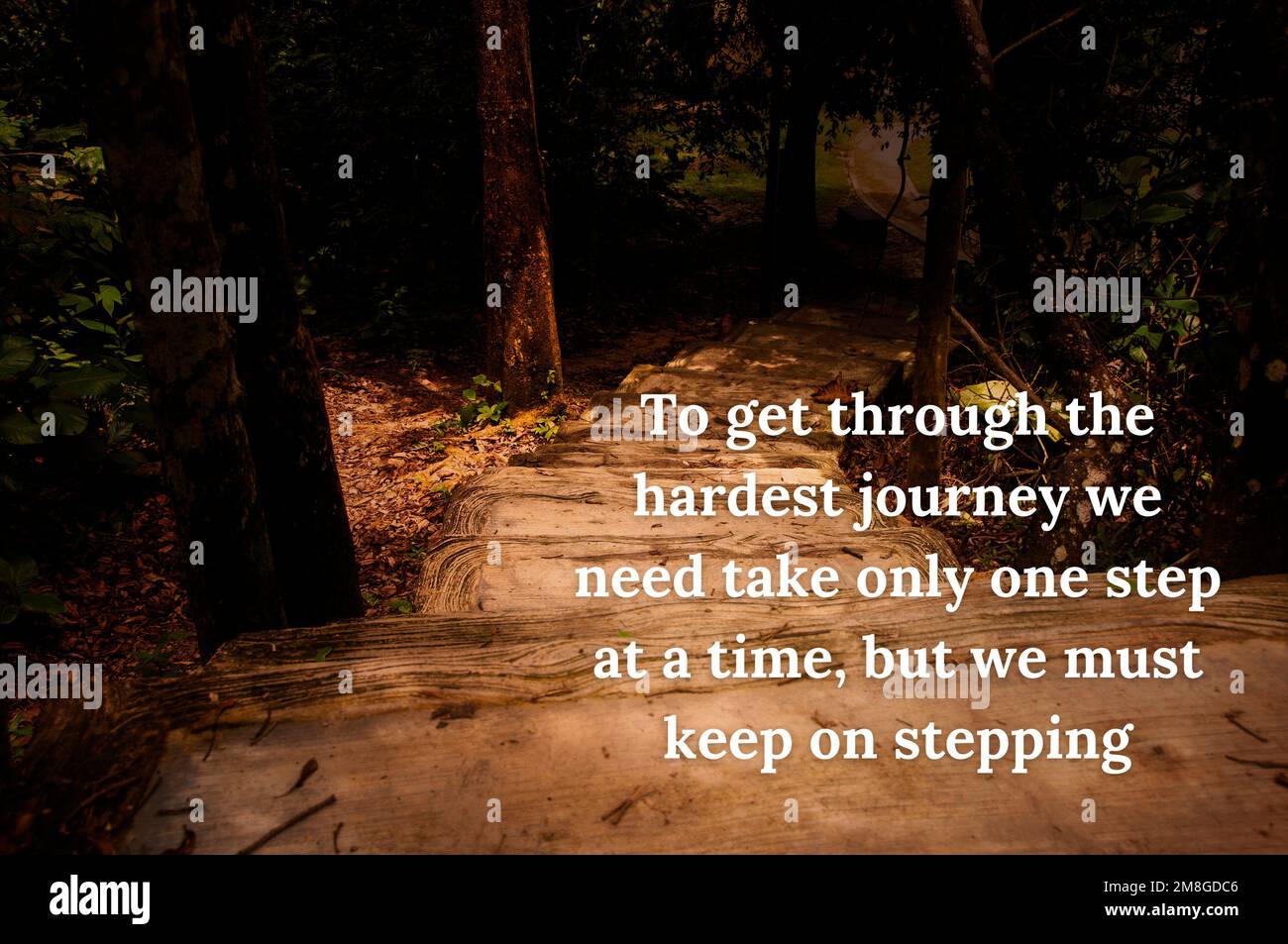 To get through the hardest journey we need take only one step at a time ...